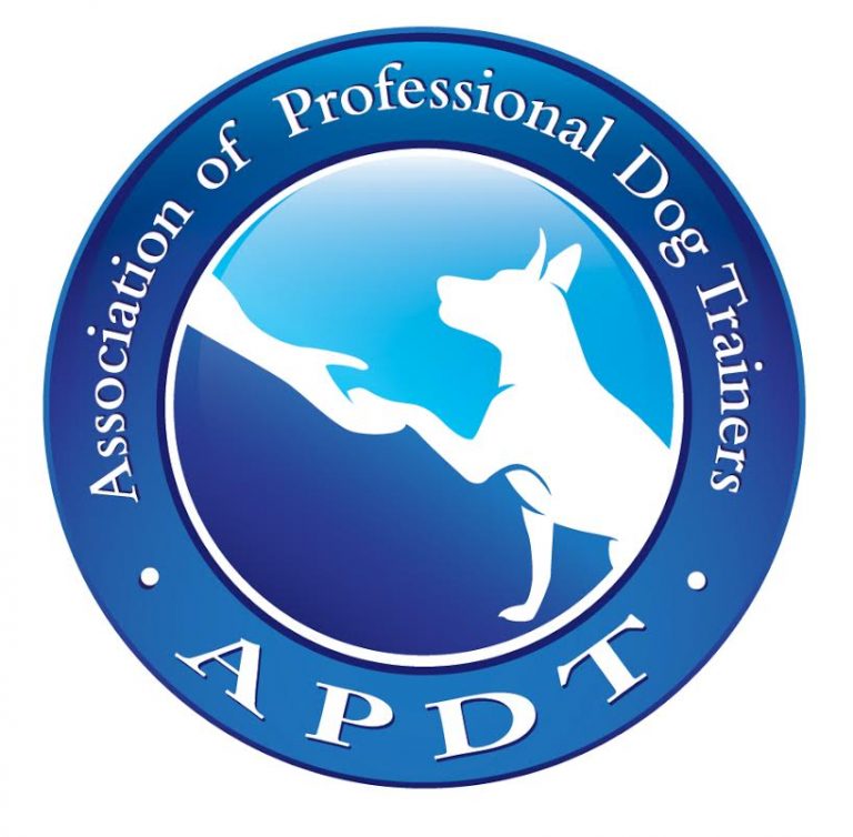 Logo Download - APDT