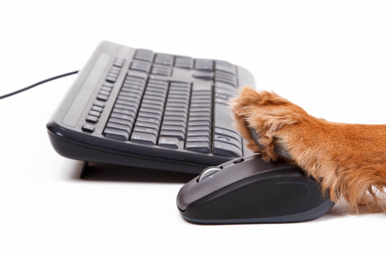 The Association of Professional Dog Trainers | APDT