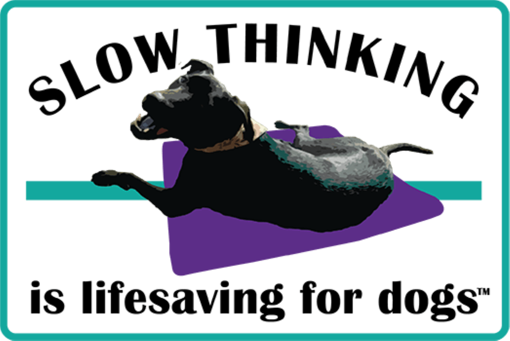 2022 Slow Thinking | APDT International