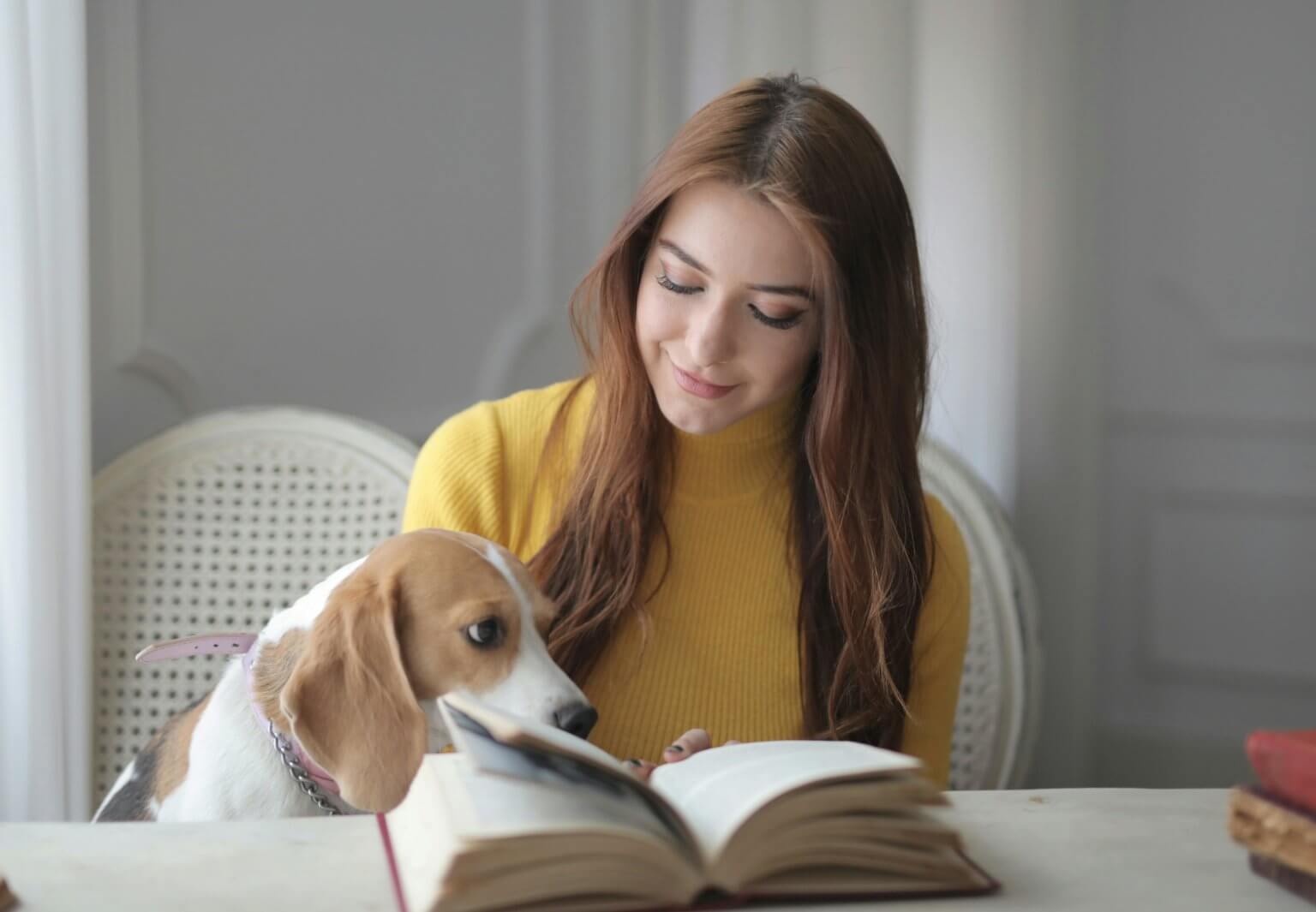Recommended Books & DVDs for Pet Dog Owners - APDT International